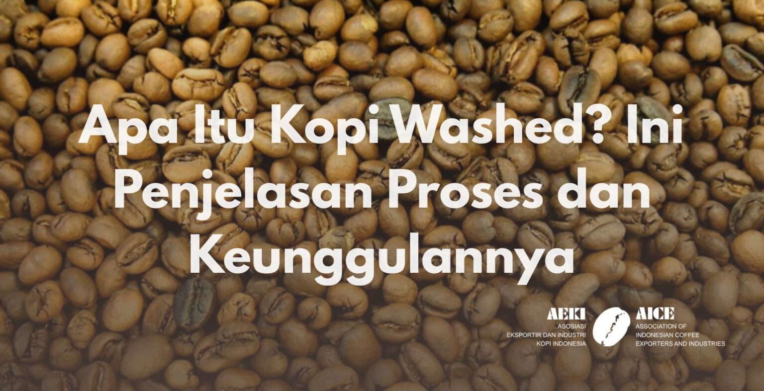 Apa Itu Kopi Washed? Ini Penjelasan Proses dan Keunggulannya - AEKI-AICE