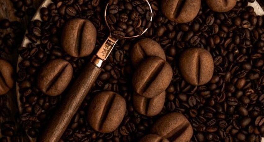 Cerita Dibalik Keaslian Kopi Gayo Aceh - AEKI-AICE